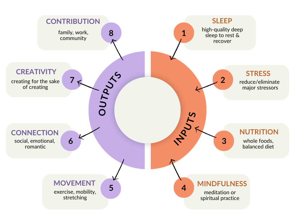 How to Build a Foundation of Health Workshop | Wellness with Marta